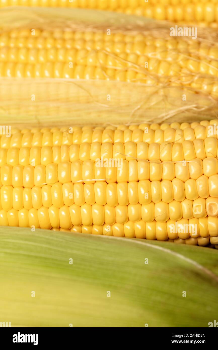 Fresh maize corn, close up background , vertical composition Stock ...