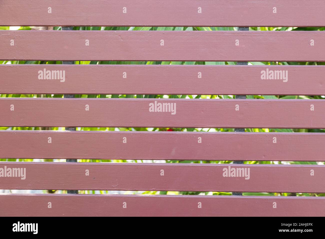 modern Wooden pattern use to make the simple beauty wall with some tree ...