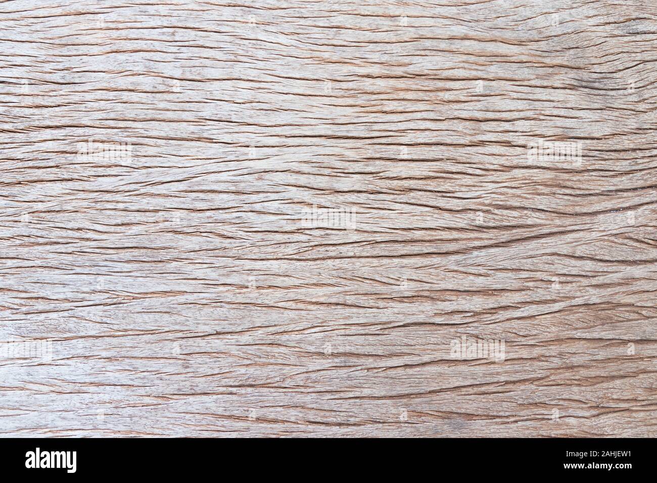 Wooden pattern background, design was made from real bark in horizontal ...
