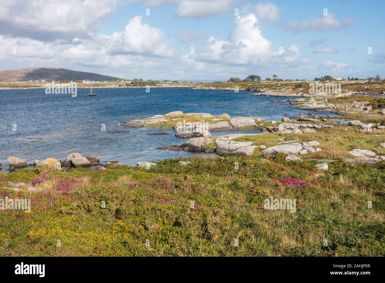 Irish scene scenic nature hi-res stock photography and images - Alamy