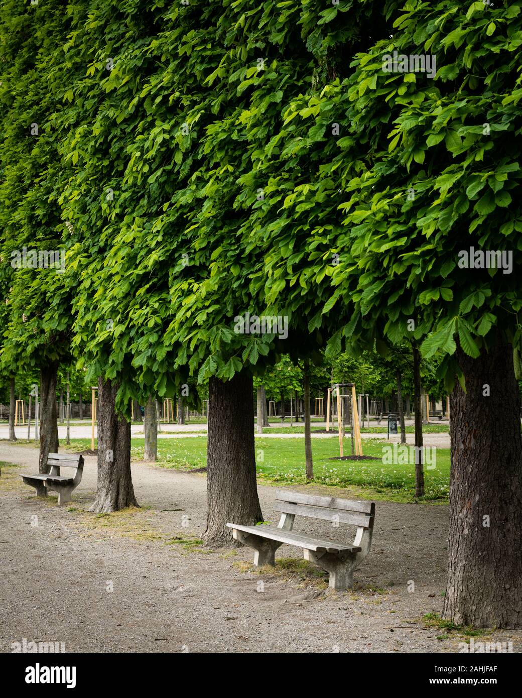 Avenue and benches in Augarten Park in Vienna (Austria) on a cloudy day ...