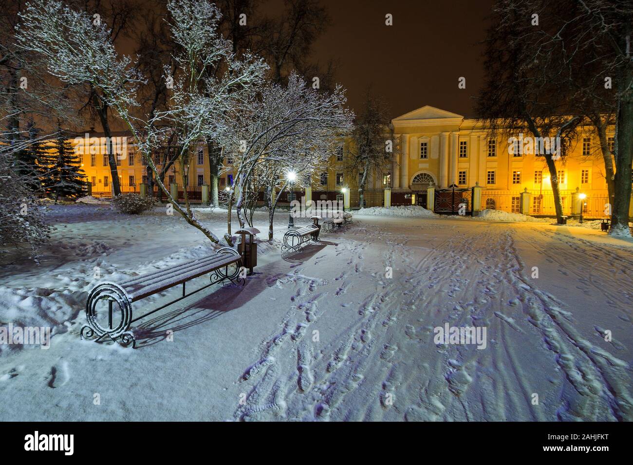 Walk of the city at night in winter. Alley with lights, trees, garlands ...