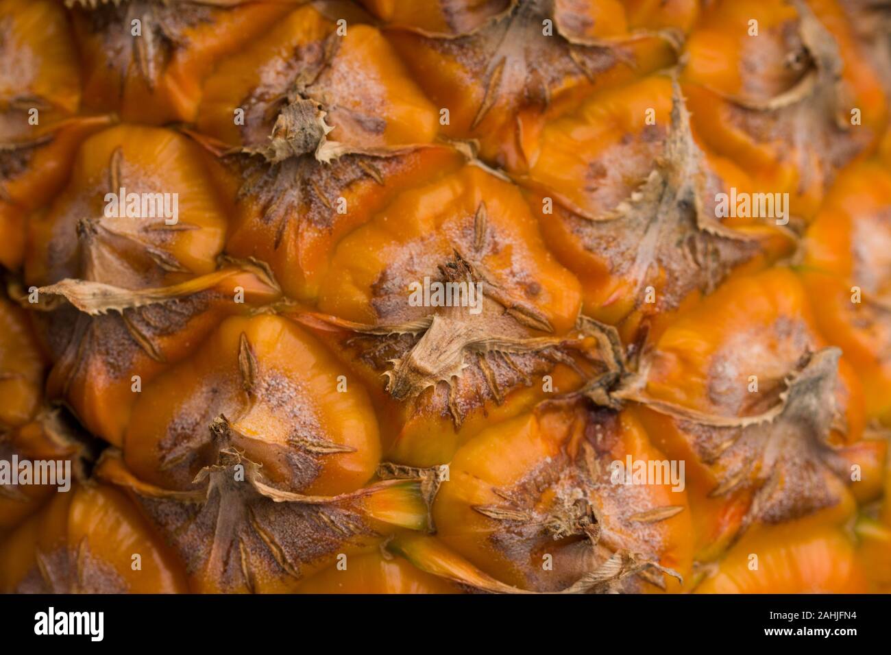 Close-up of the skin of a ripe pineapple. Fresh pineapple texture Stock ...