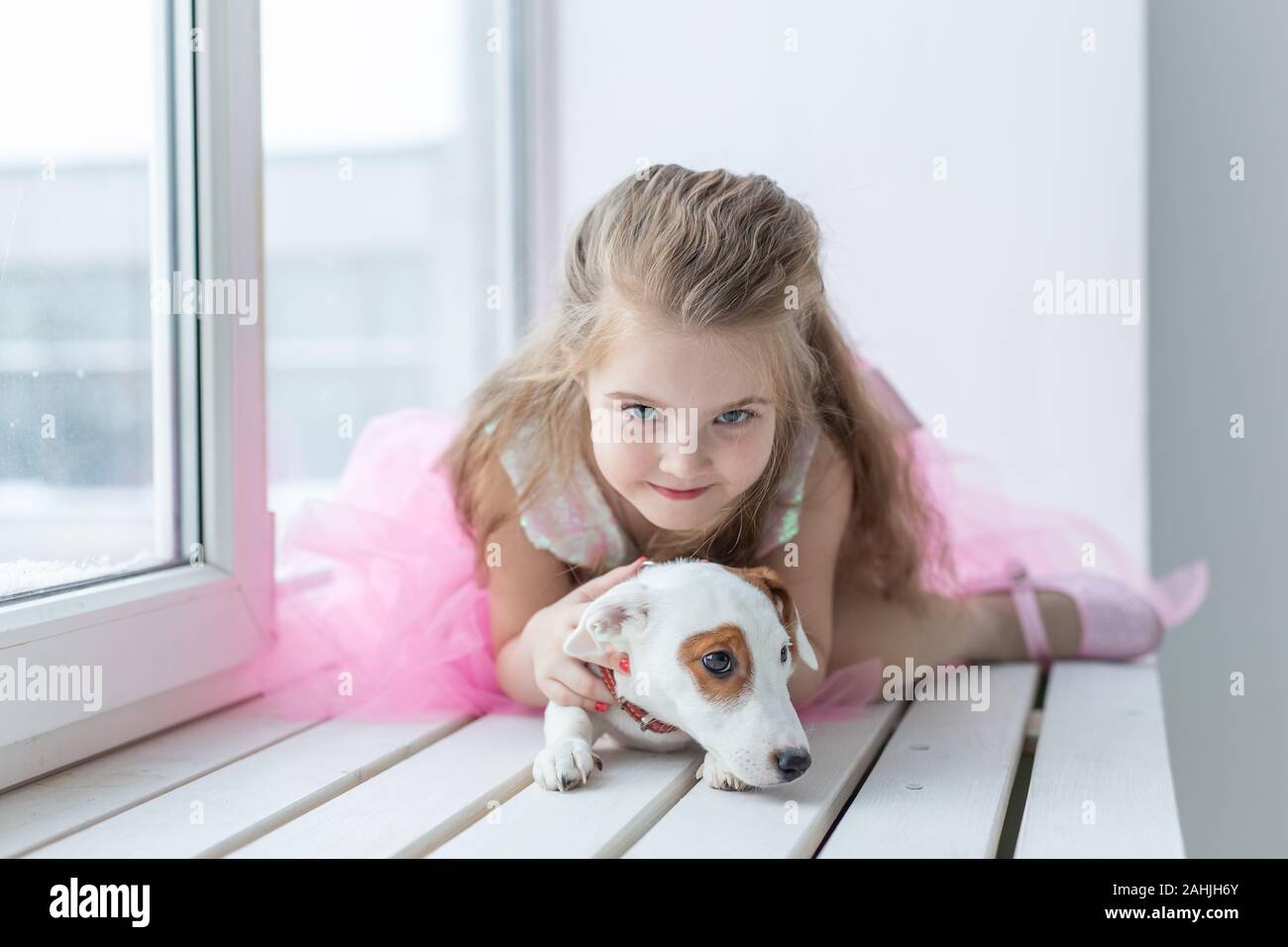 Pet and children concept - Child with dog Jack Russell Terrier at home ...