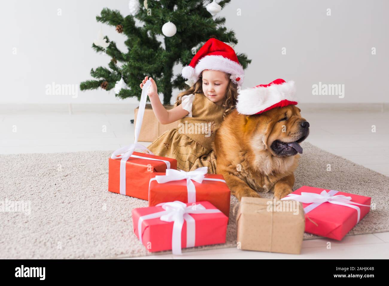 Children and pet concept - Cute girl with dog sitting near the ...