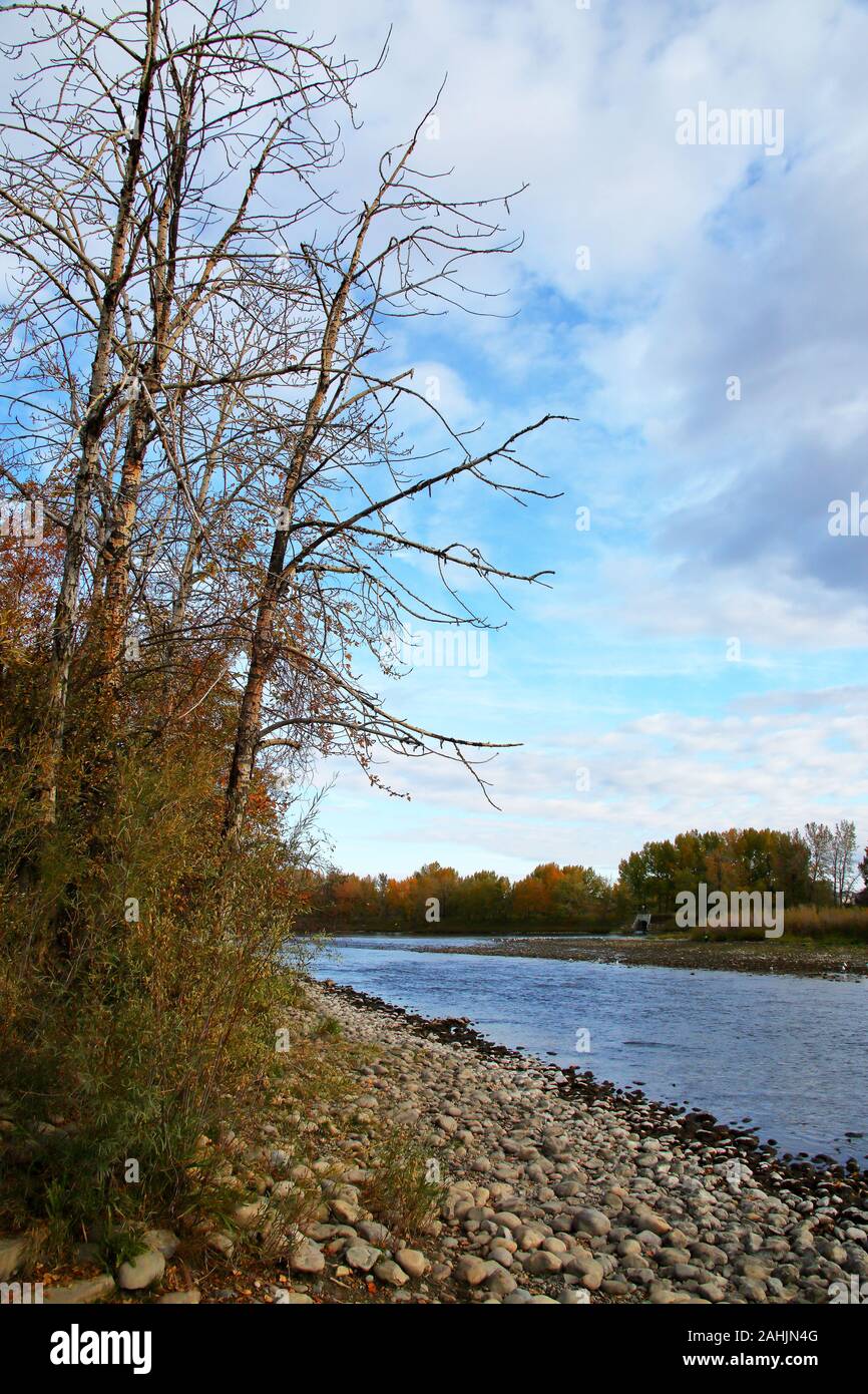 River in autumn with trees in fall colors in Calgary Alberta Stock ...