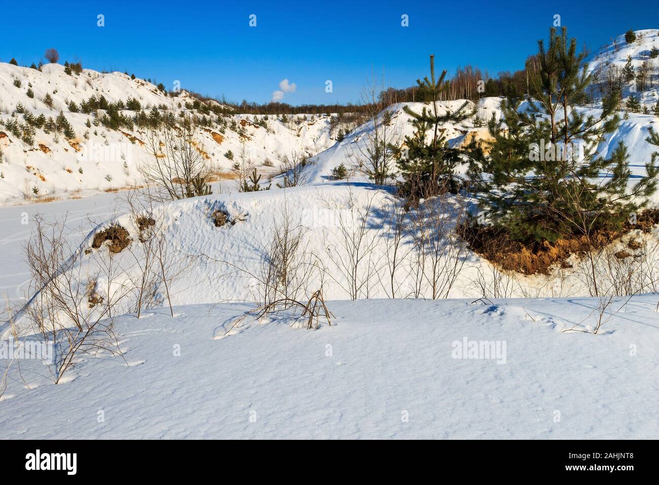 Hills covered with snow in winter with pines, trees and blue sky ...