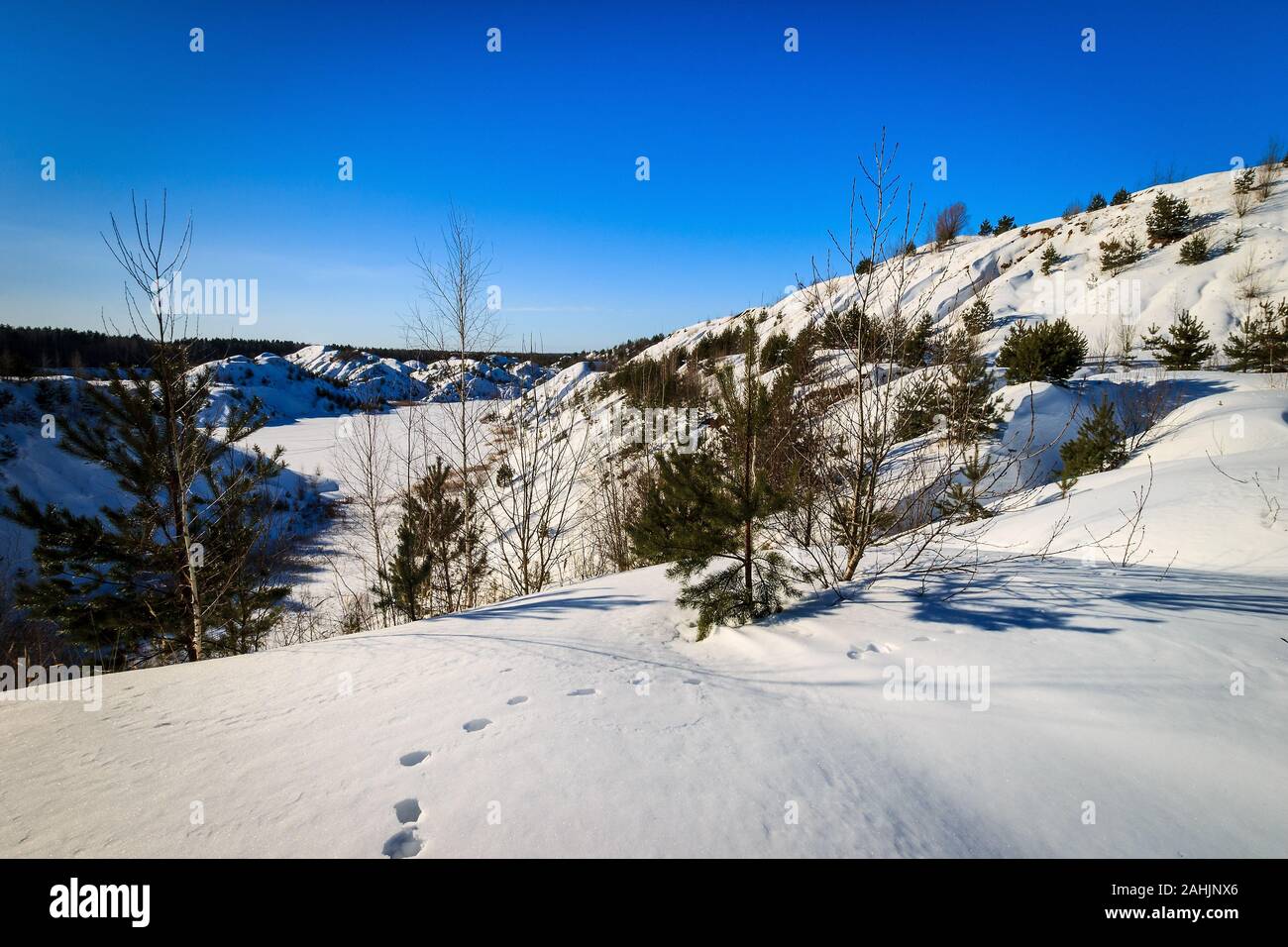 Hills covered with snow in winter with pines, trees and blue sky ...