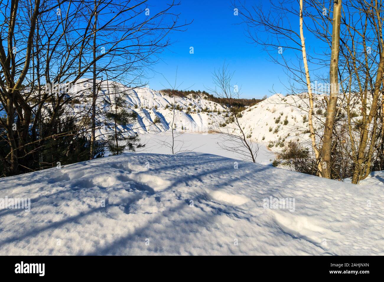 Hills covered with snow in winter with pines, trees and blue sky ...