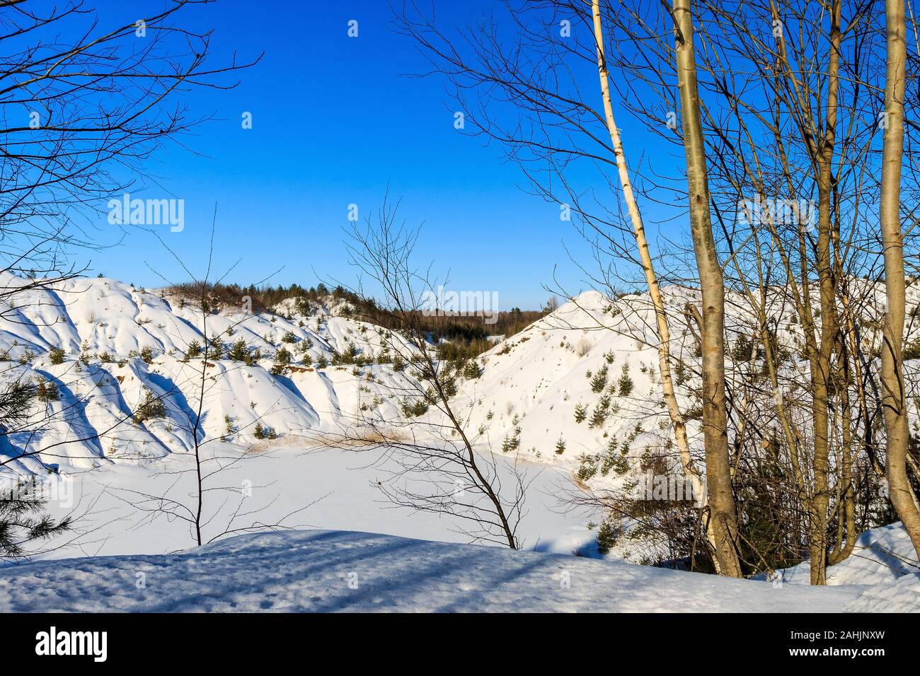 Hills covered with snow in winter with pines, trees and blue sky ...