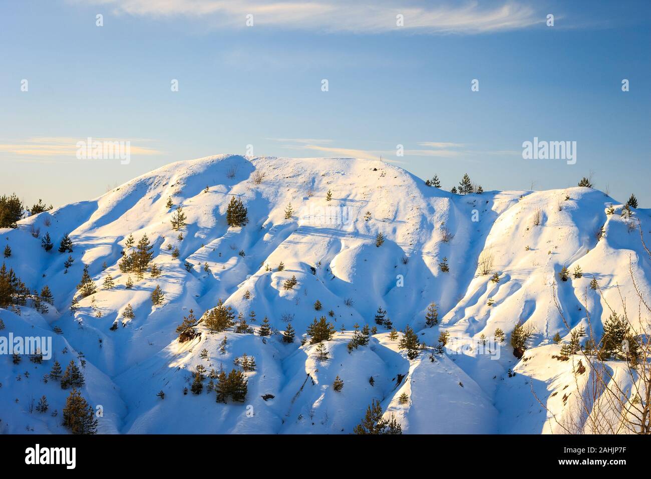 Hills covered with snow in winter with pines, trees and blue sky ...