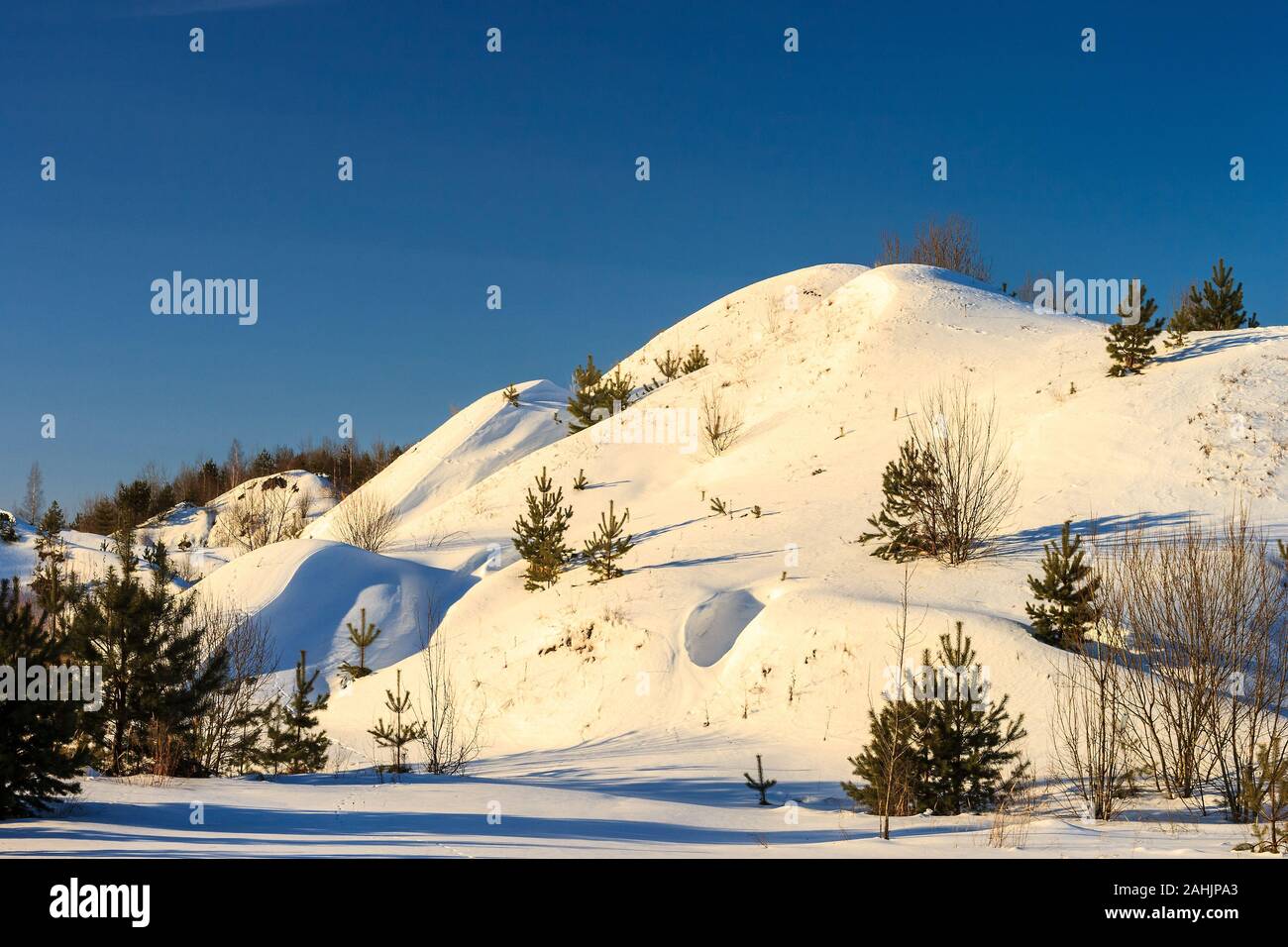 Hills covered with snow in winter with pines, trees and blue sky ...