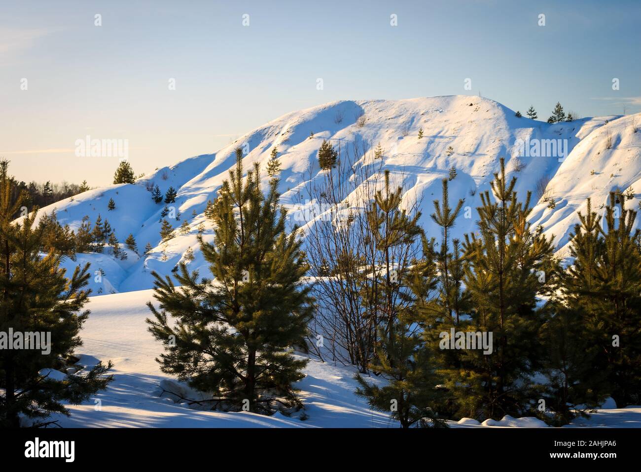 Hills covered with snow in winter with pines, trees and blue sky ...