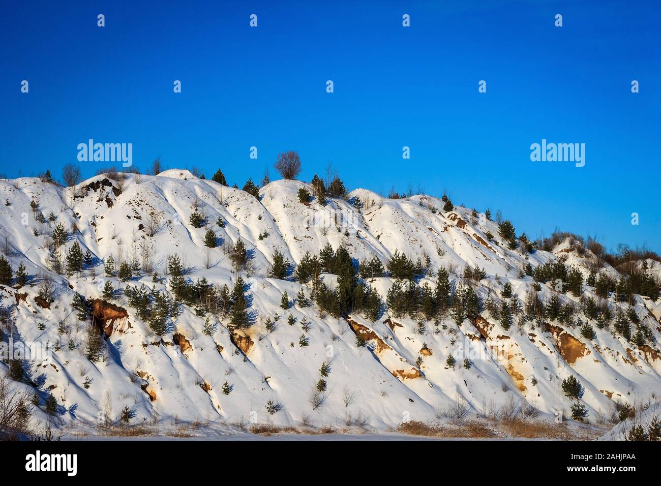 Hills covered with snow in winter with pines, trees and blue sky ...