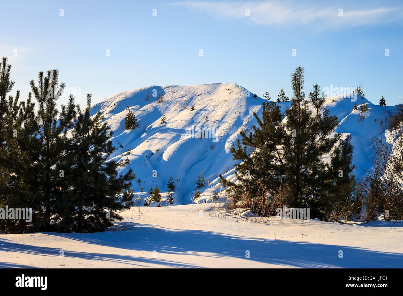 Hills covered with snow in winter with pines, trees and blue sky ...
