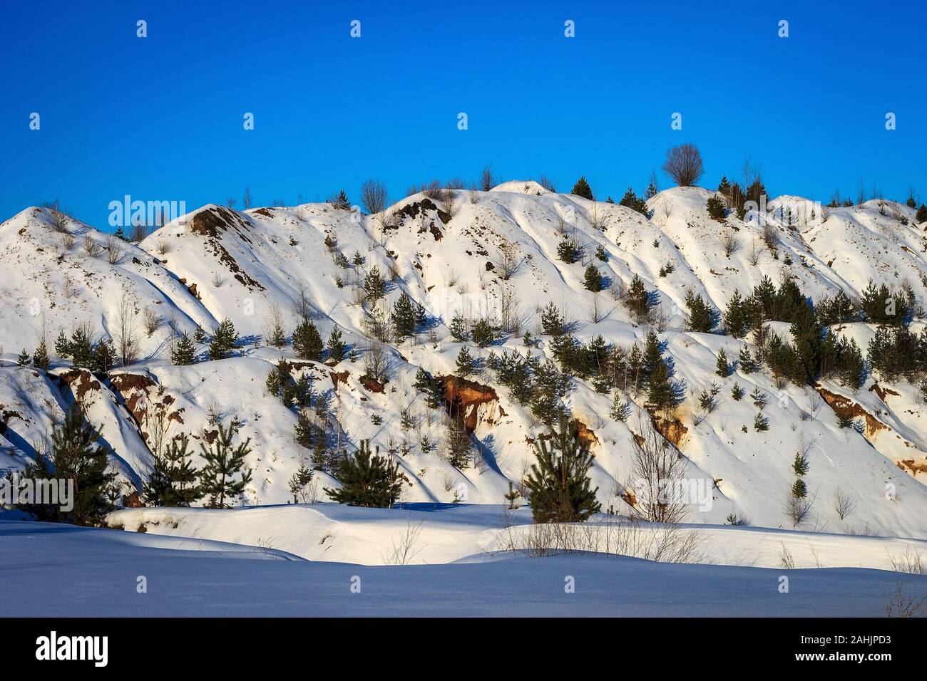 Hills covered with snow in winter with pines, trees and blue sky ...