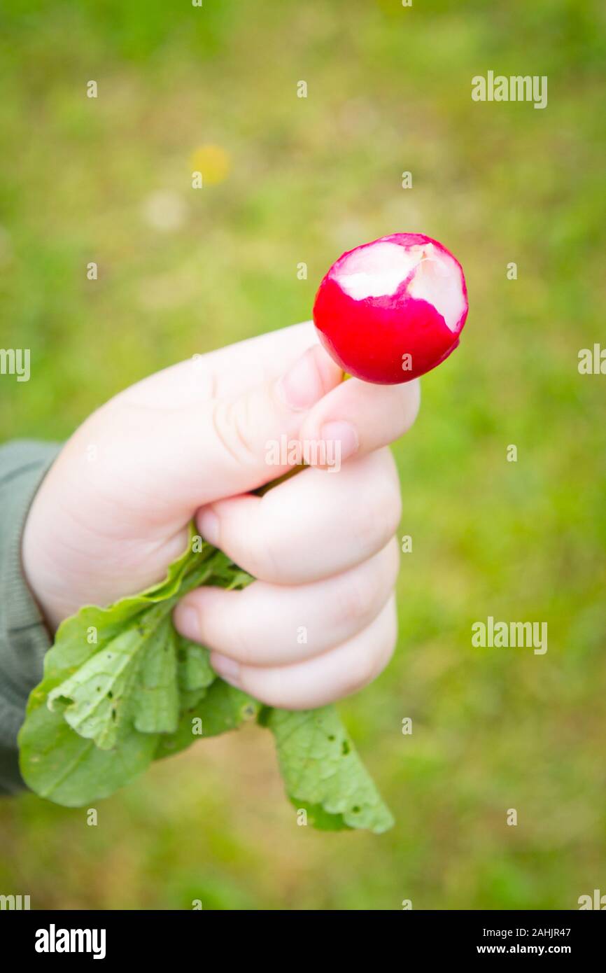 Child bite finger hi-res stock photography and images - Alamy