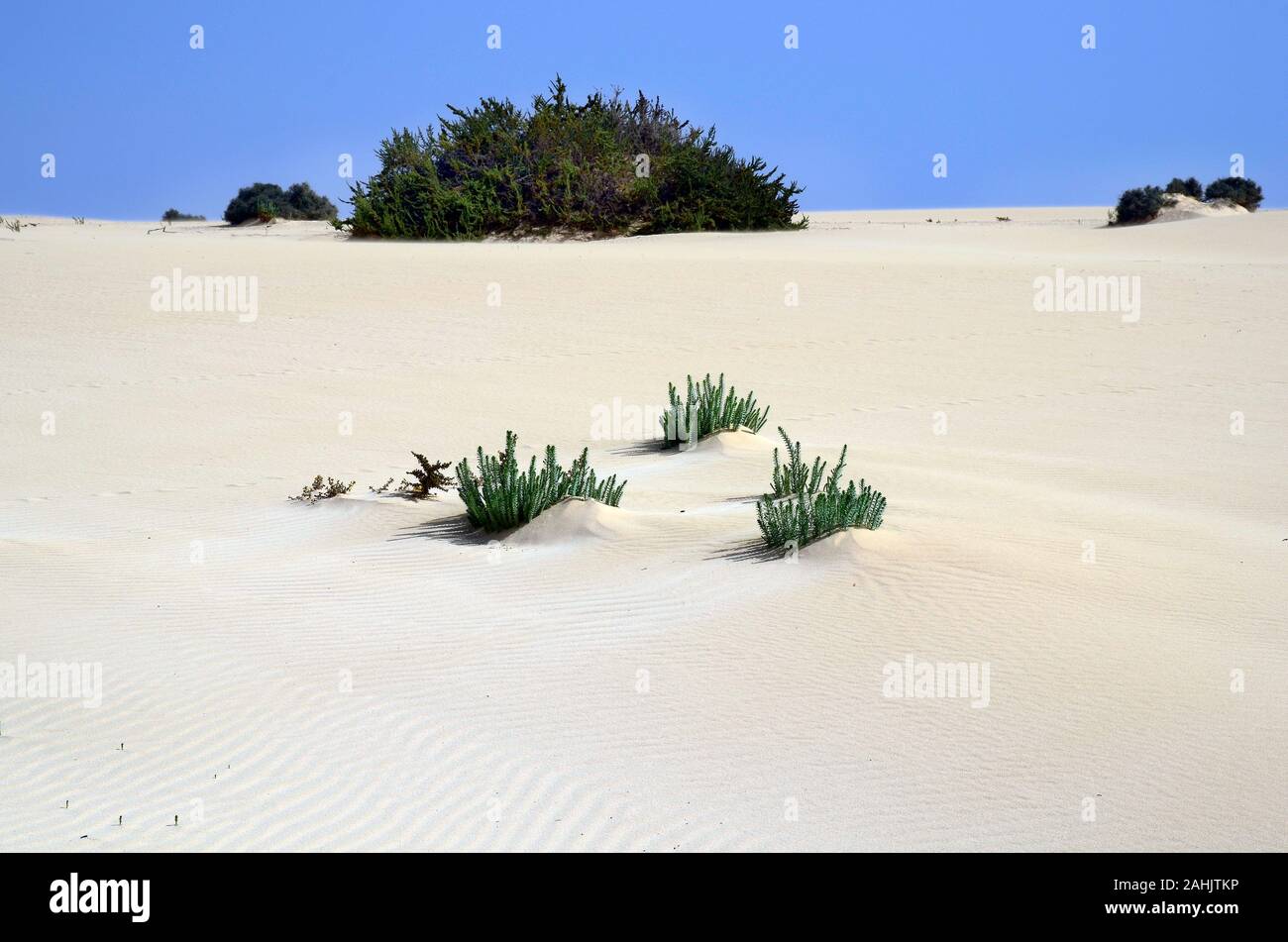Spain, Canary Island, Fuerteventura, desert and dunes in nature park El ...