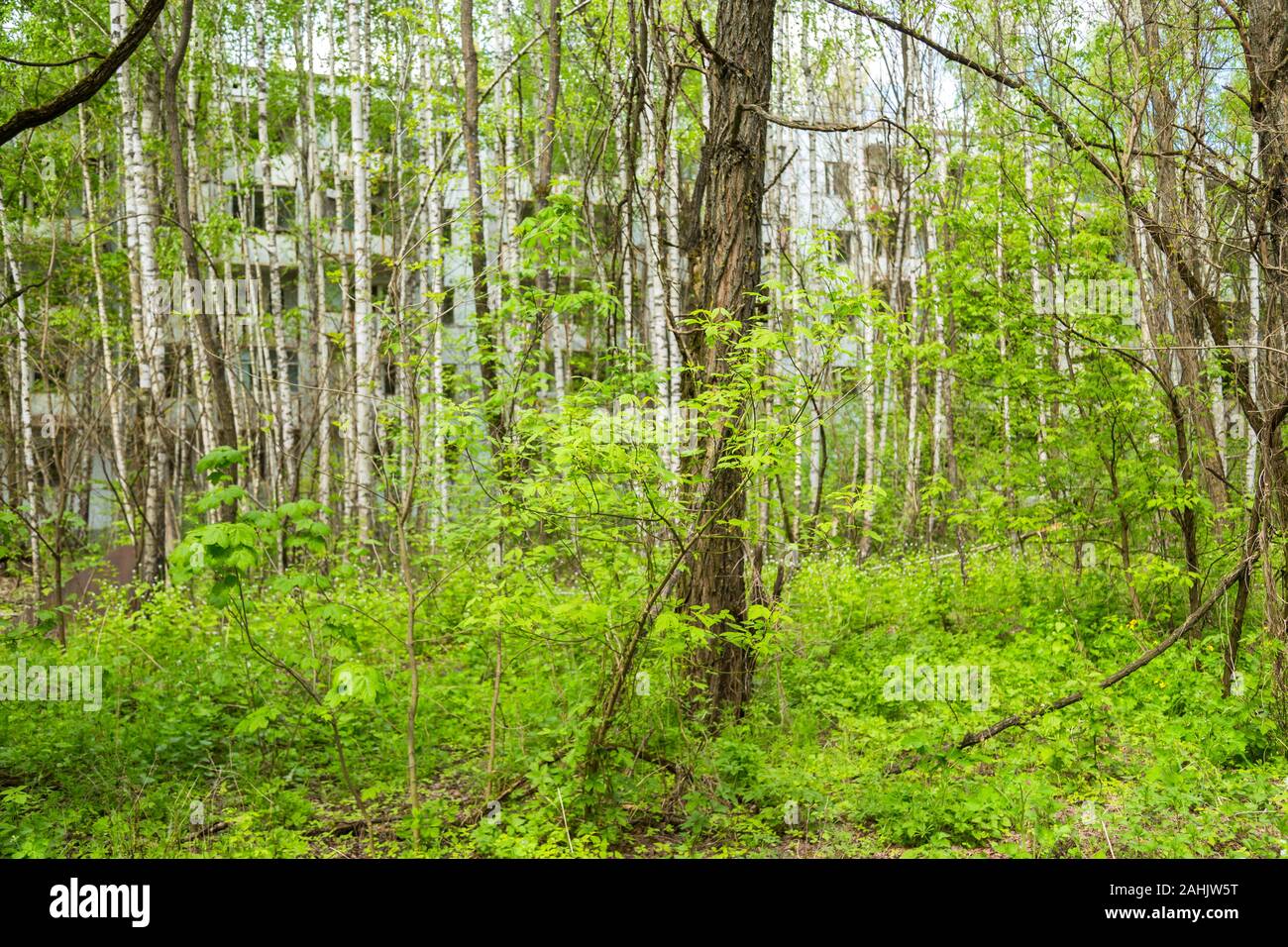 Chernobyl texture hi-res stock photography and images - Alamy
