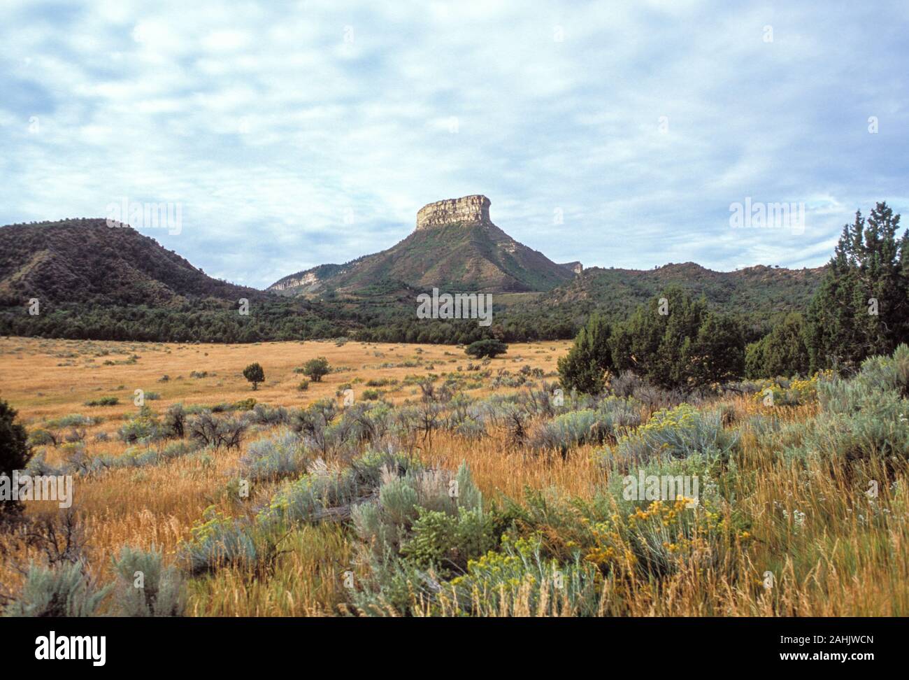 Point verde hi-res stock photography and images - Alamy