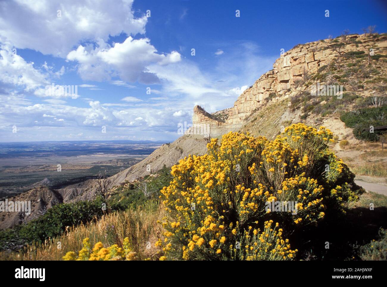 The Knife's Edge, Montezuma Valley Overlook, Mesa Verde, Colorado Stock ...