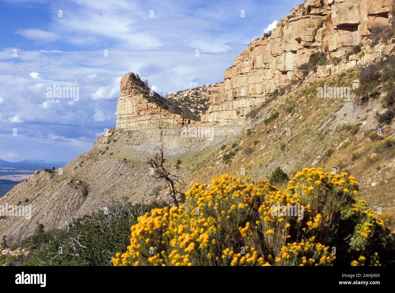 Cave edge hi-res stock photography and images - Alamy