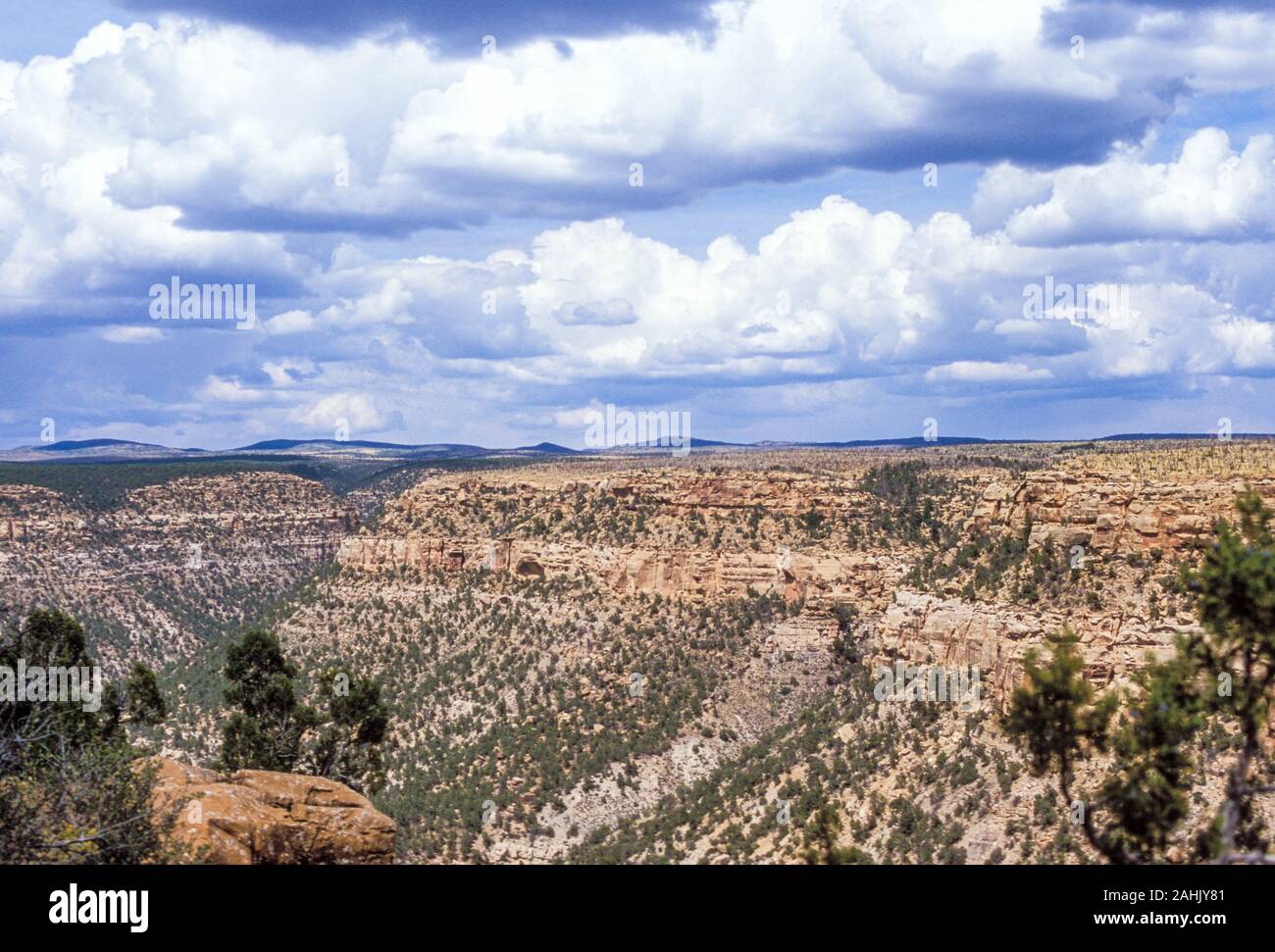 Sun Point Overlook, Mesa Verde, Colorado Stock Photo - Alamy