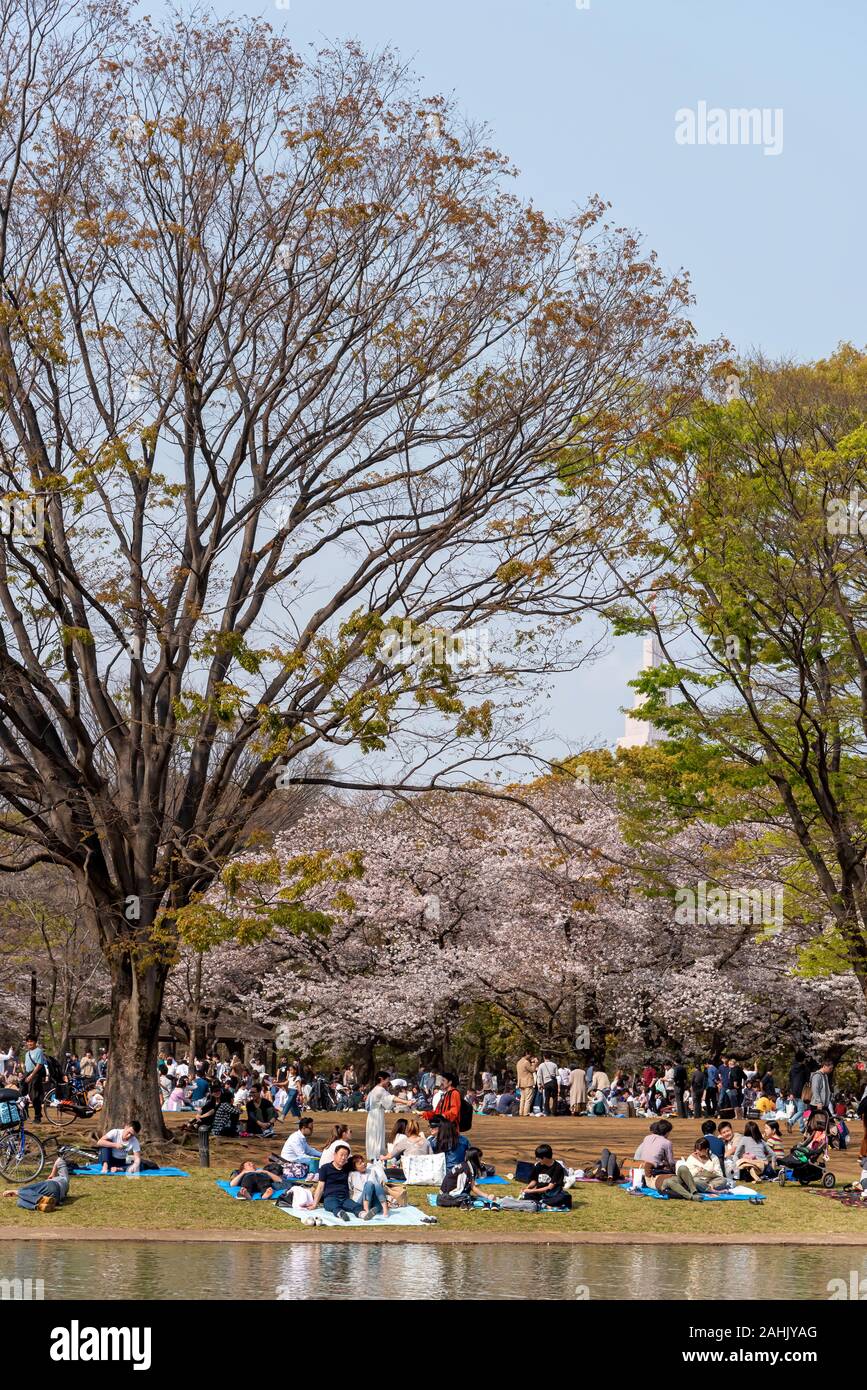 April 7, 2019: Japanese people enjoy the Cherry Blossom (known as ...
