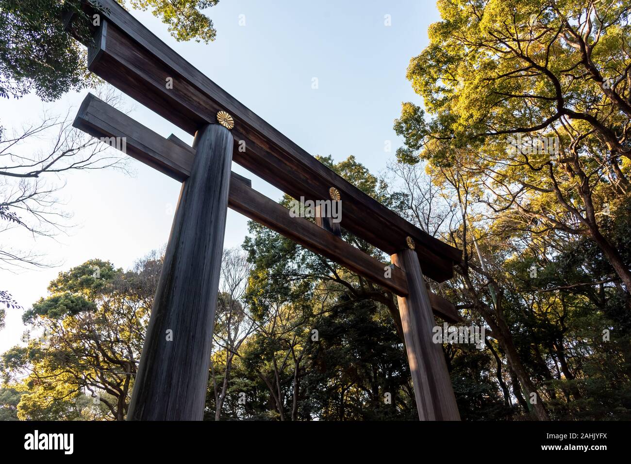 Torii, entrance gate to the Meiji Jingu Shinto shrine in Shibuya, Tokyo ...