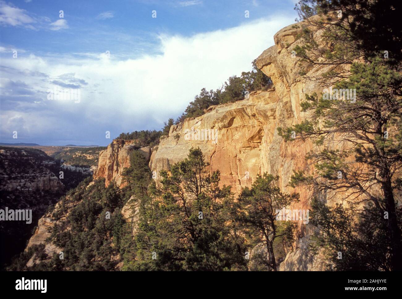 Mesa trail colorado hi-res stock photography and images - Alamy