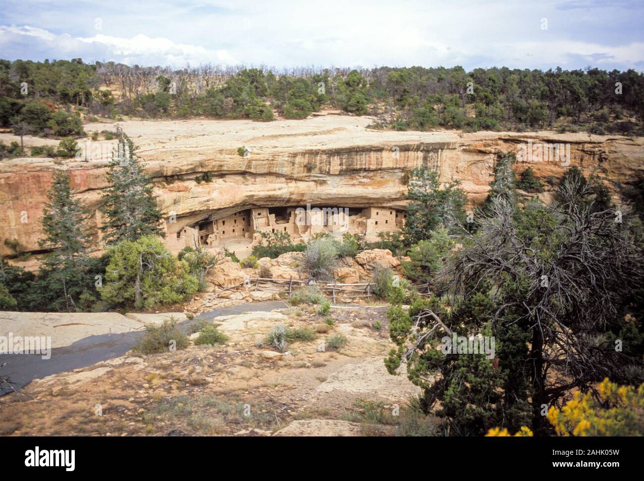 Spruce Tree House, Mesa Verde, Colorado Stock Photo - Alamy