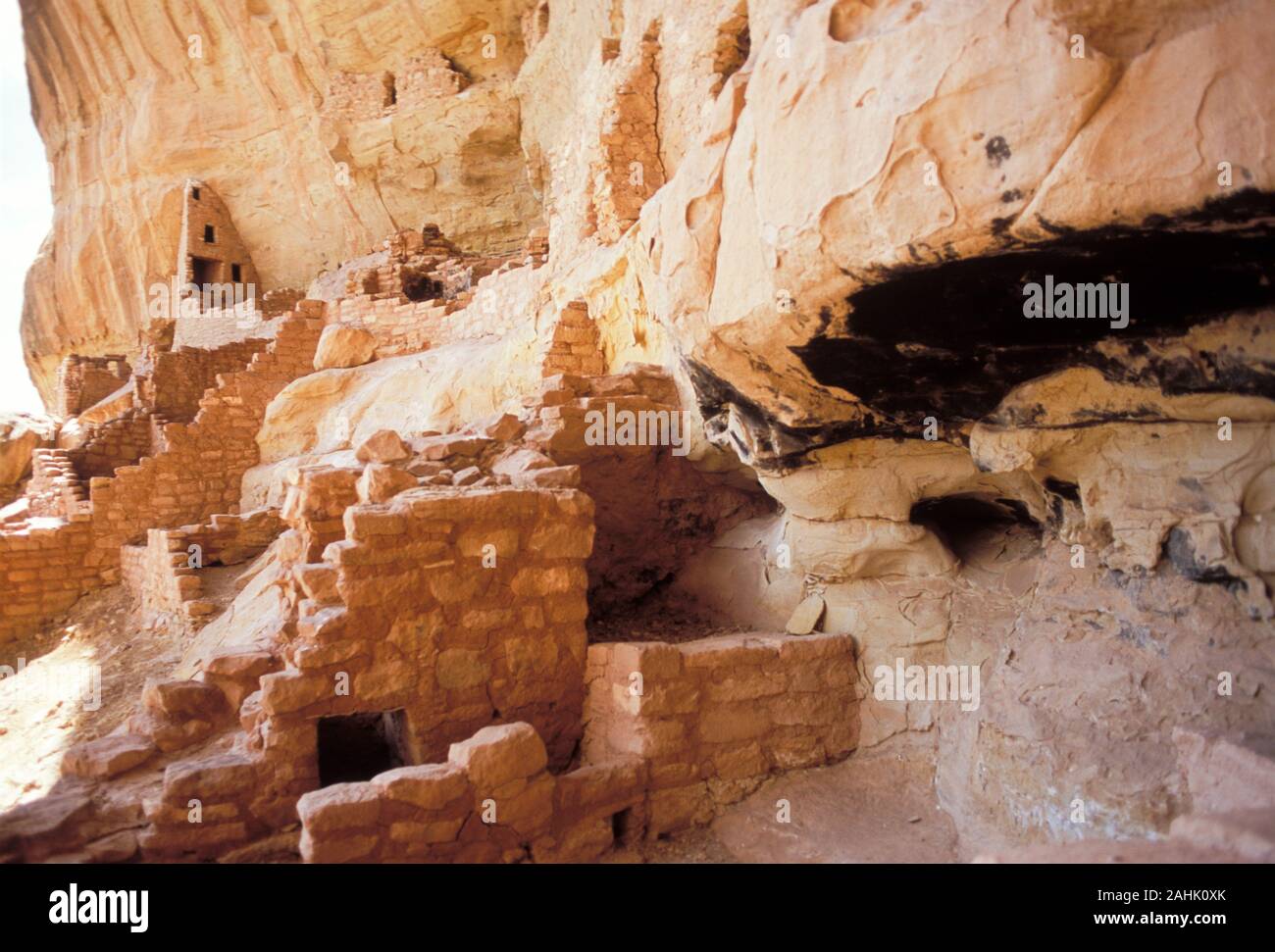 Long House, Mesa Verde, Colorado Stock Photo - Alamy