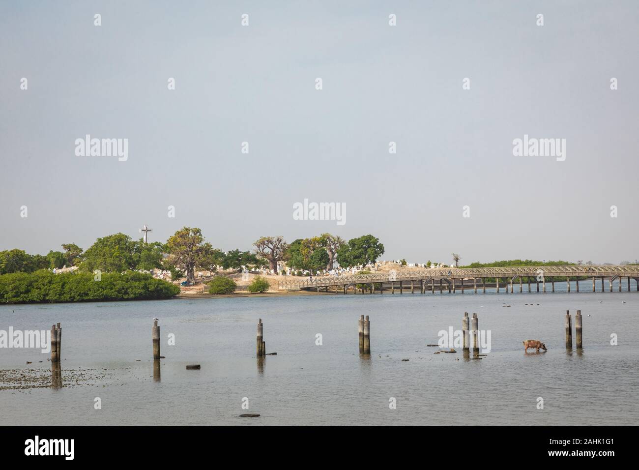 Seashell island senegal hi-res stock photography and images - Alamy