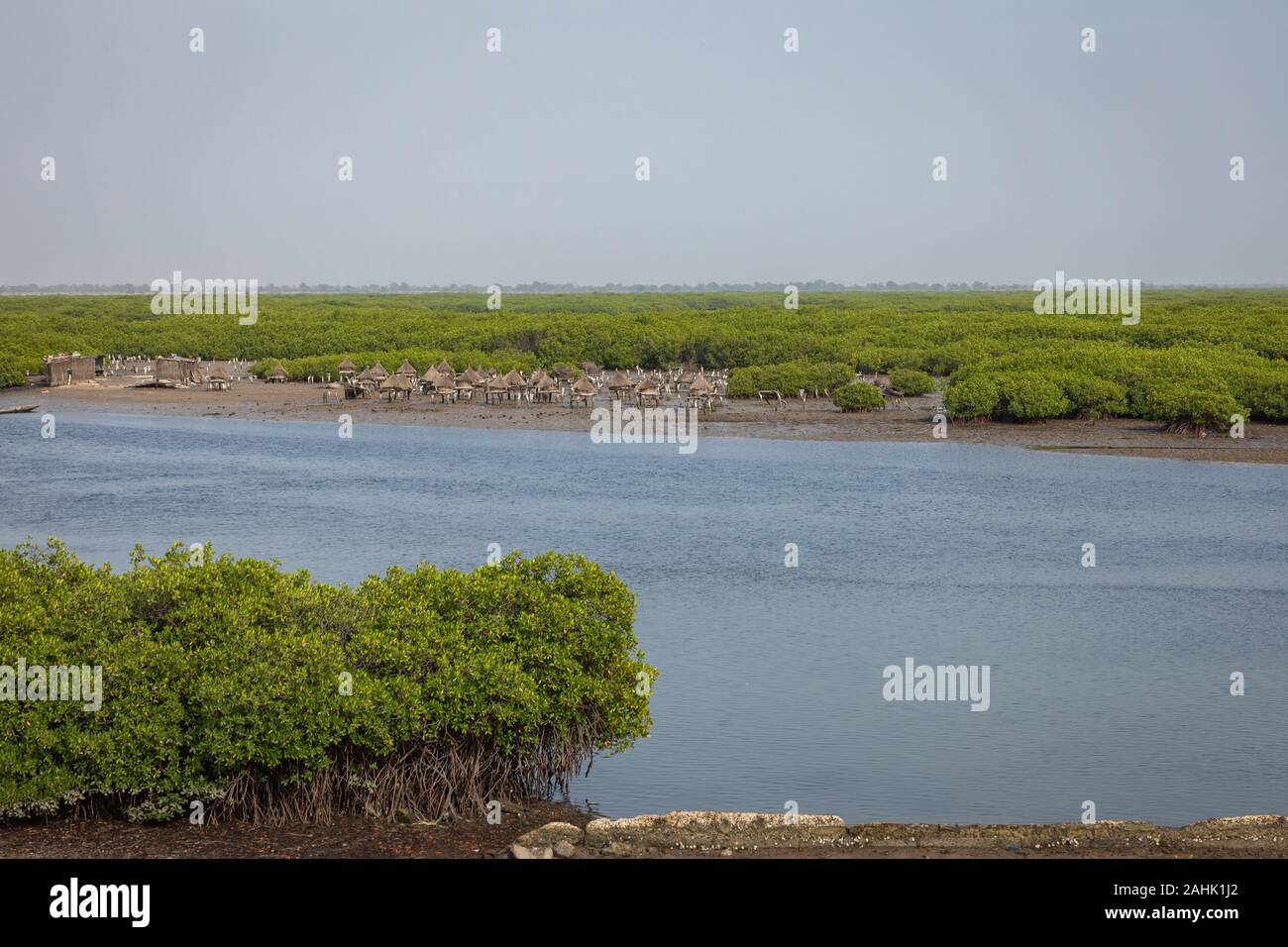Seashell island senegal hi-res stock photography and images - Alamy