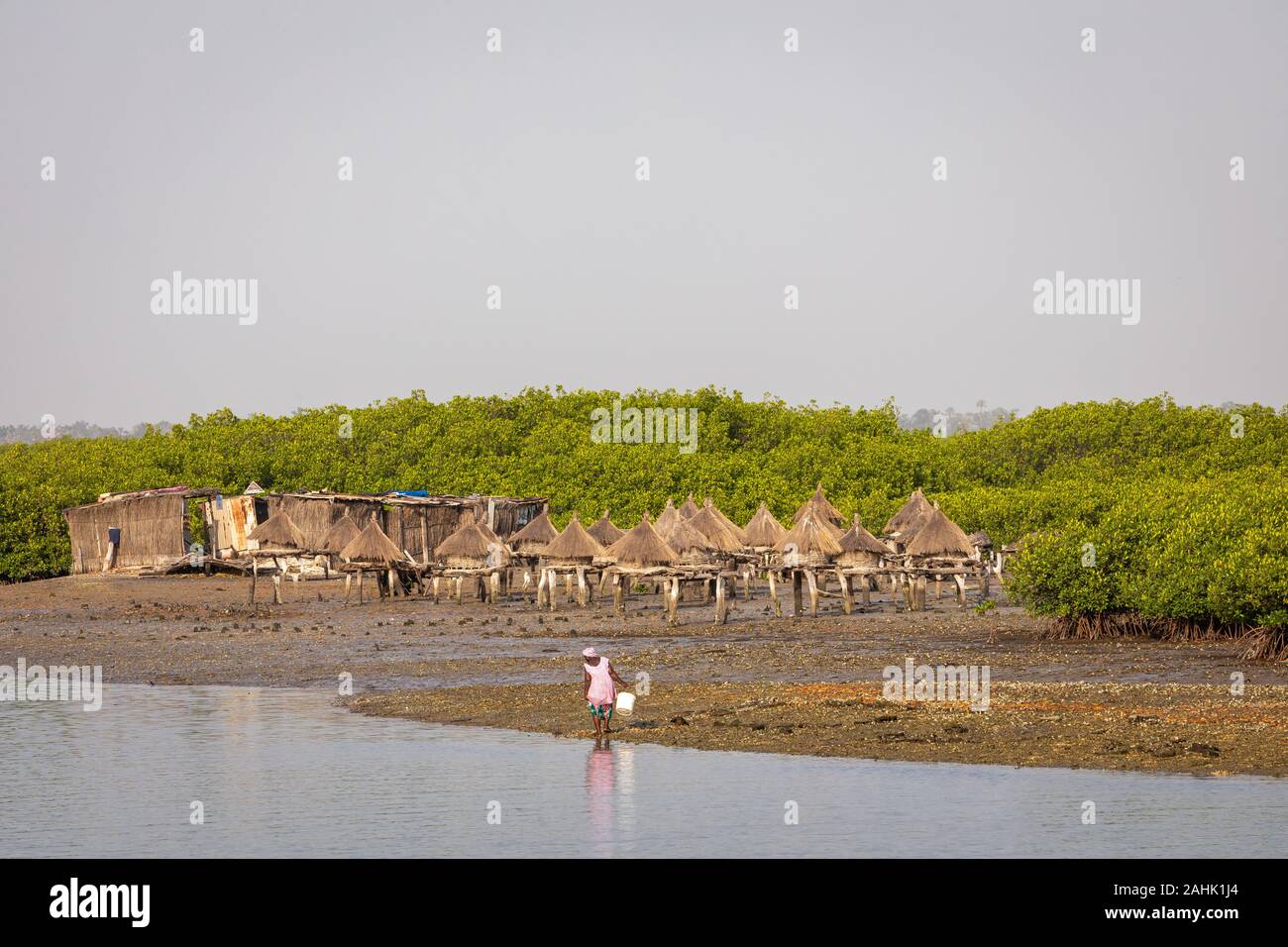 Seashell island senegal hi-res stock photography and images - Alamy