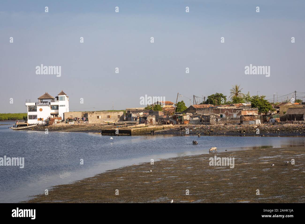 Seashell island senegal hi-res stock photography and images - Alamy