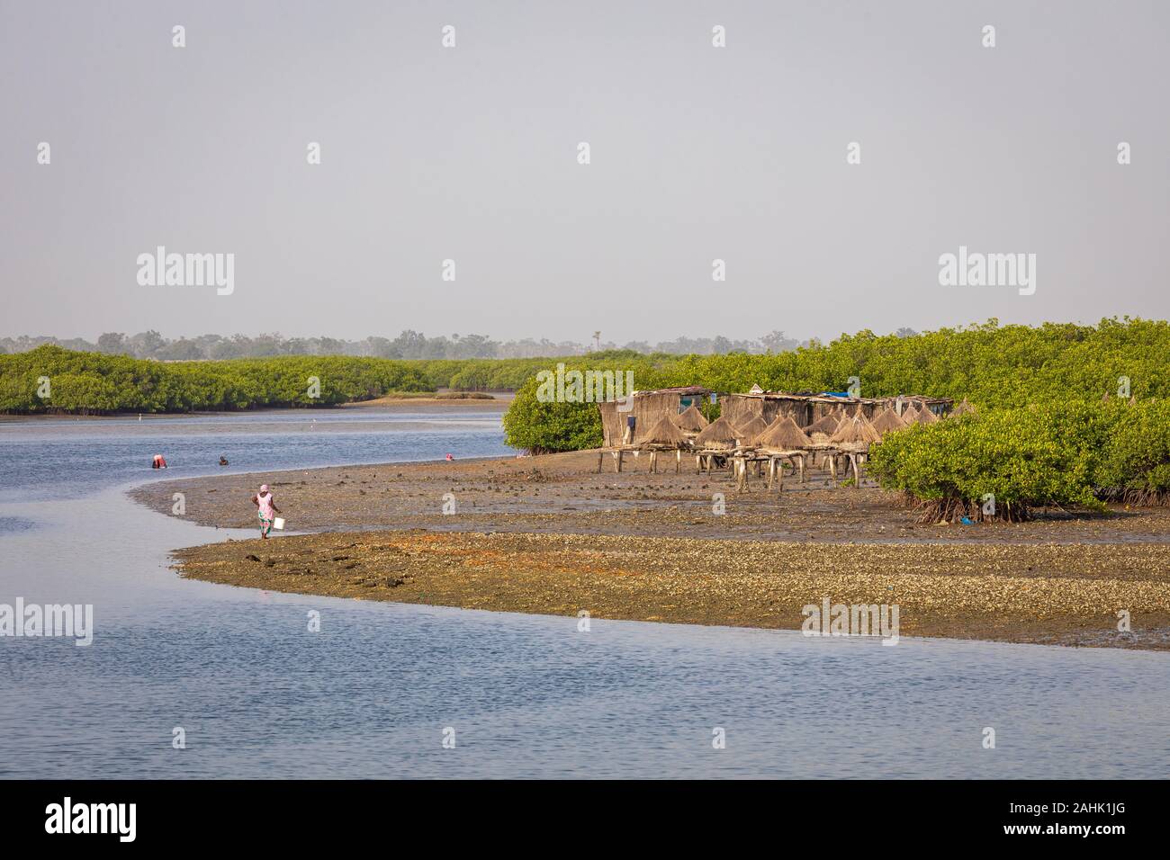 Seashell island senegal hi-res stock photography and images - Alamy