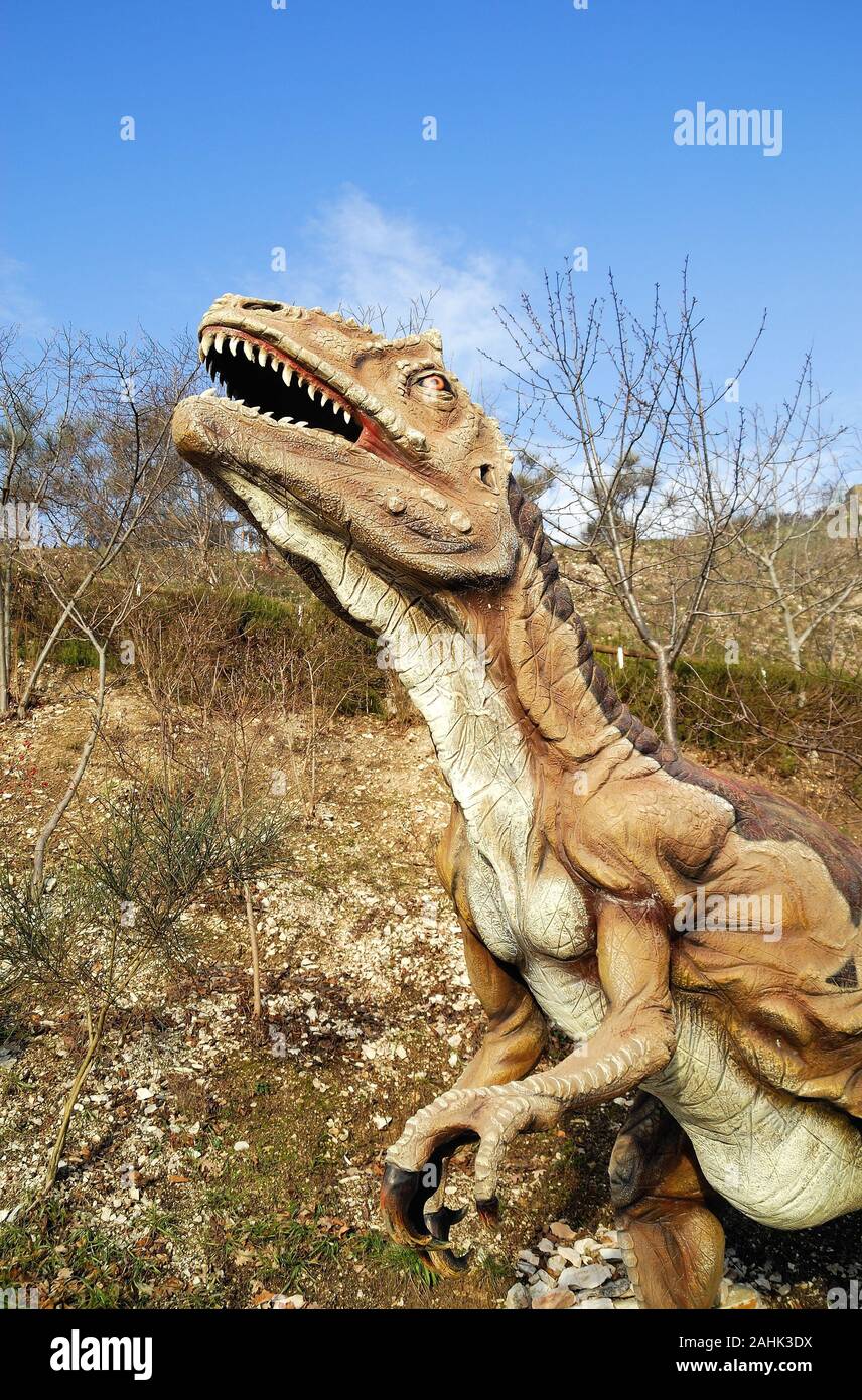 Mount Cinto, Cinto Euganeo, Veneto, Italy. Geopaleontological Museum of ...