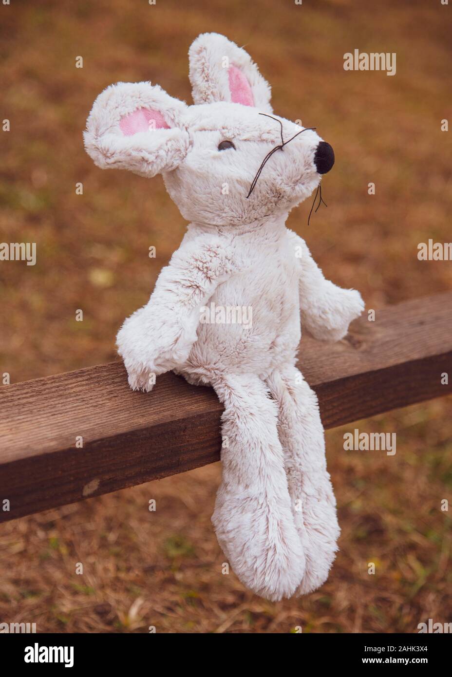 A lone Soft toy mouse is photographed from the side Stock Photo - Alamy