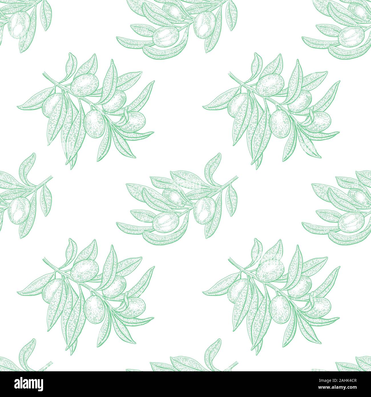 Olive tree. Seamless pattern. Vintage botany vector hand drawn ...