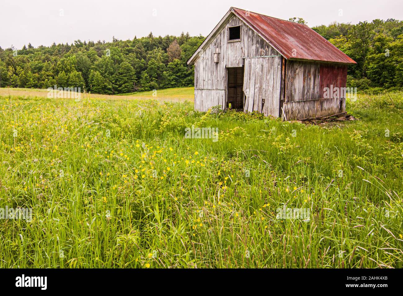 Ashfield farm hi-res stock photography and images - Alamy