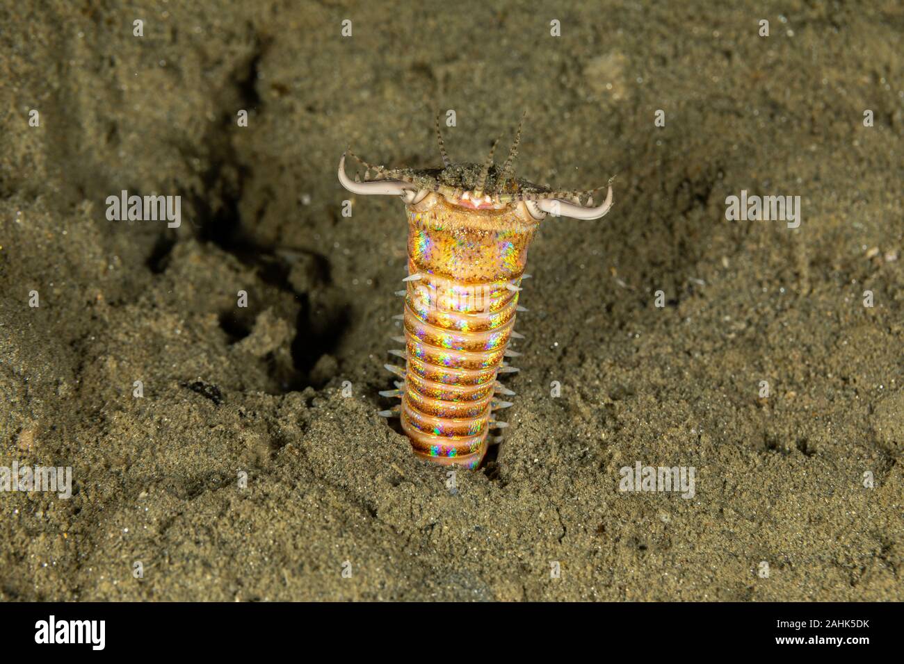 Sand striker hi-res stock photography and images - Alamy