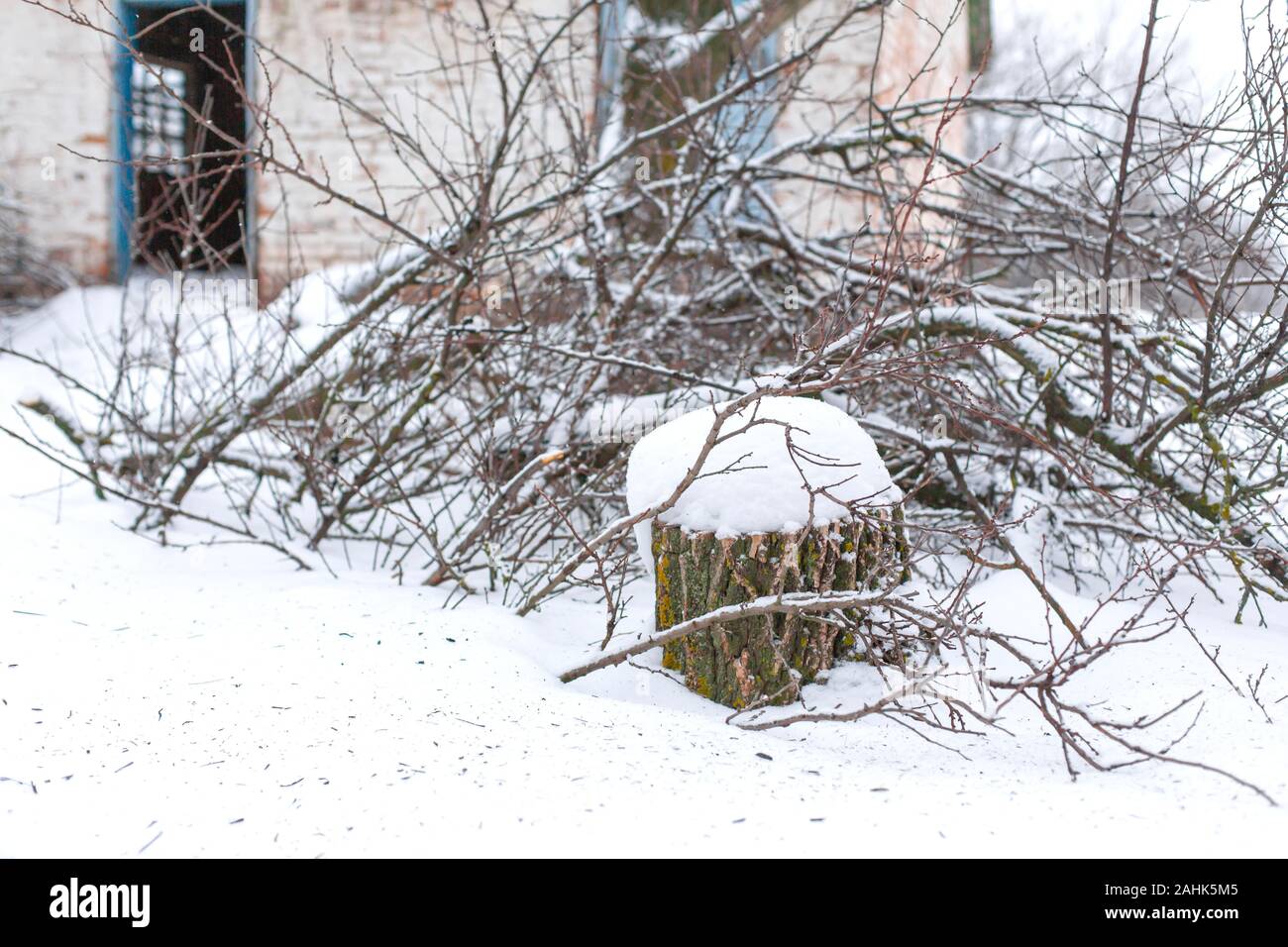 Winter countryside landscape, dilapidated abandoned ruined building ...