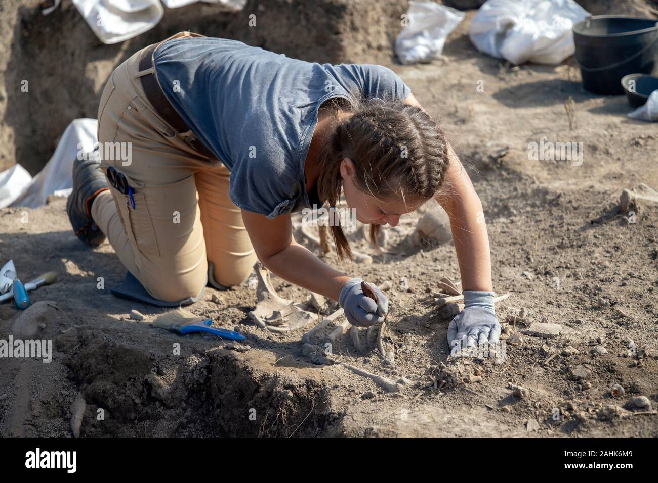 Archeologist dig bones hi-res stock photography and images - Alamy
