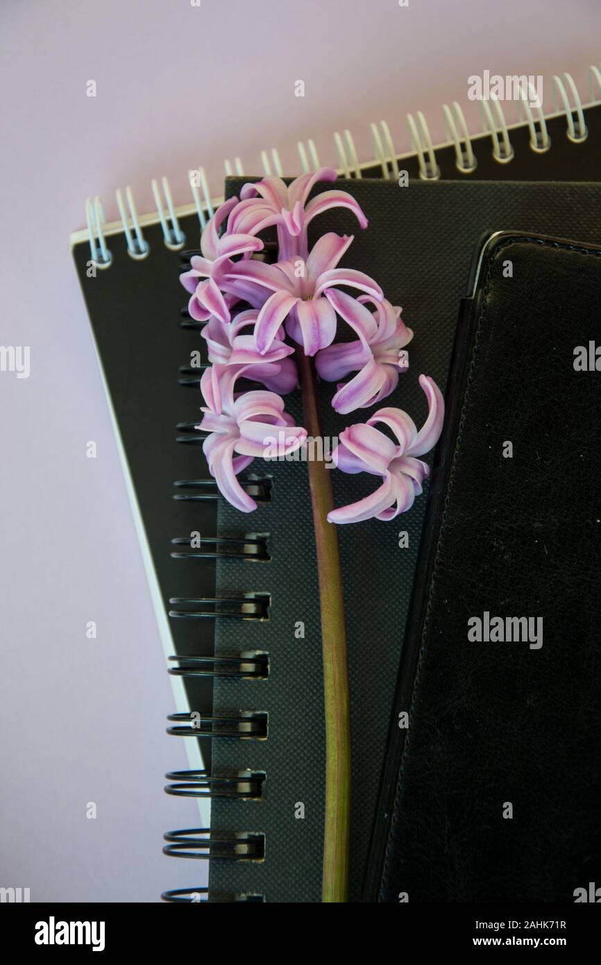 Vintage botany notebook hi-res stock photography and images - Alamy