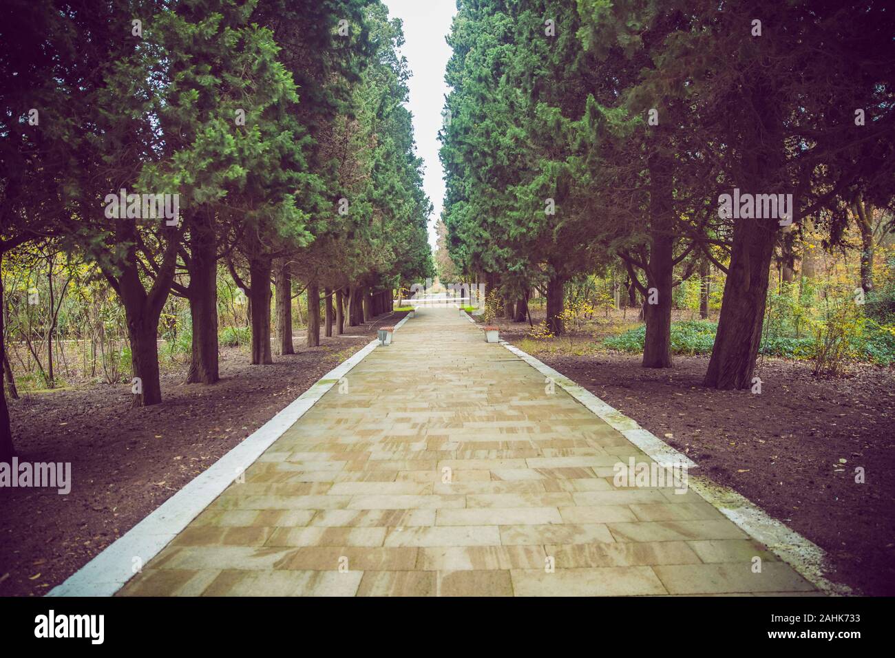 The stone path inside the park . stone path between pine trees Stock ...