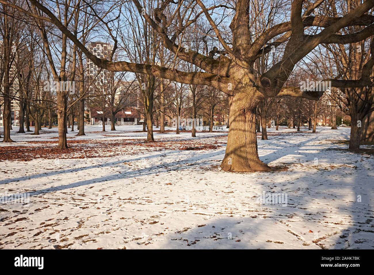 High park toronto oak hi-res stock photography and images - Alamy