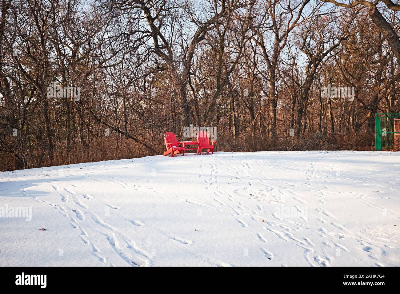 High Park in Winter Stock Photo - Alamy