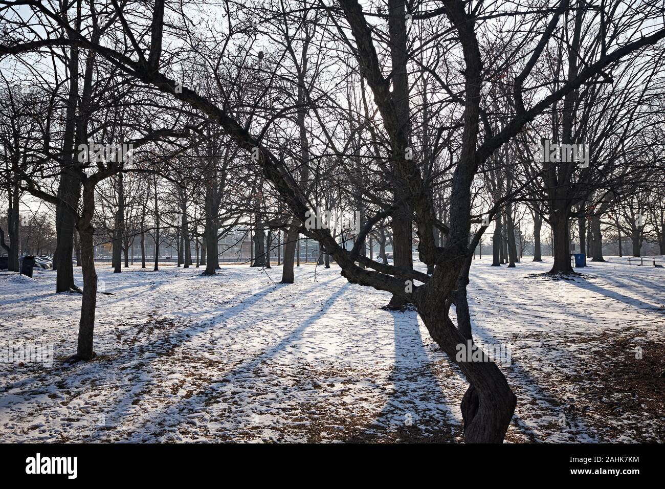 High park toronto oak hi-res stock photography and images - Alamy