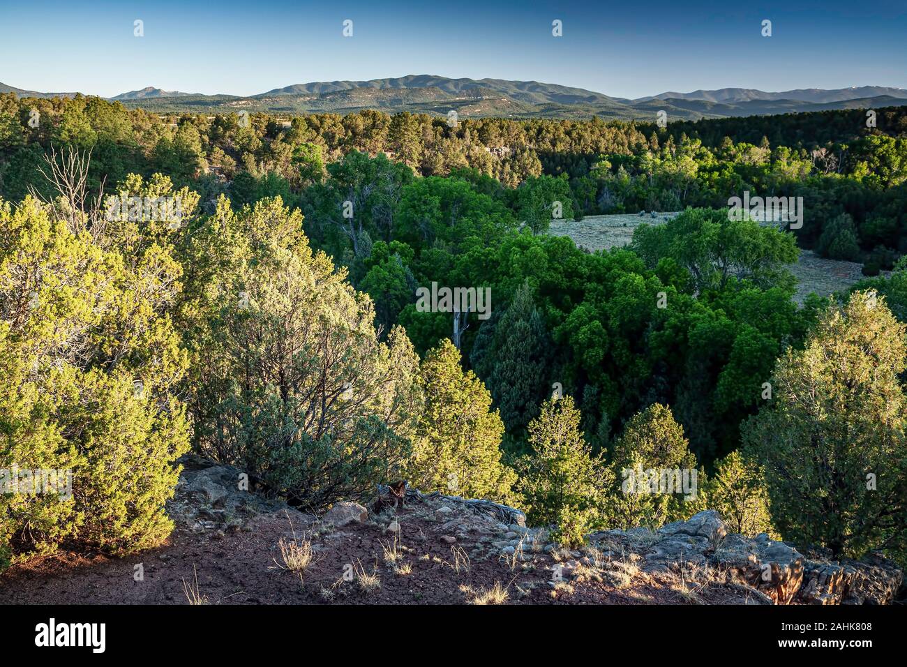 View from Johnson's Ranch (Sangre de Cristo Mountains in background ...